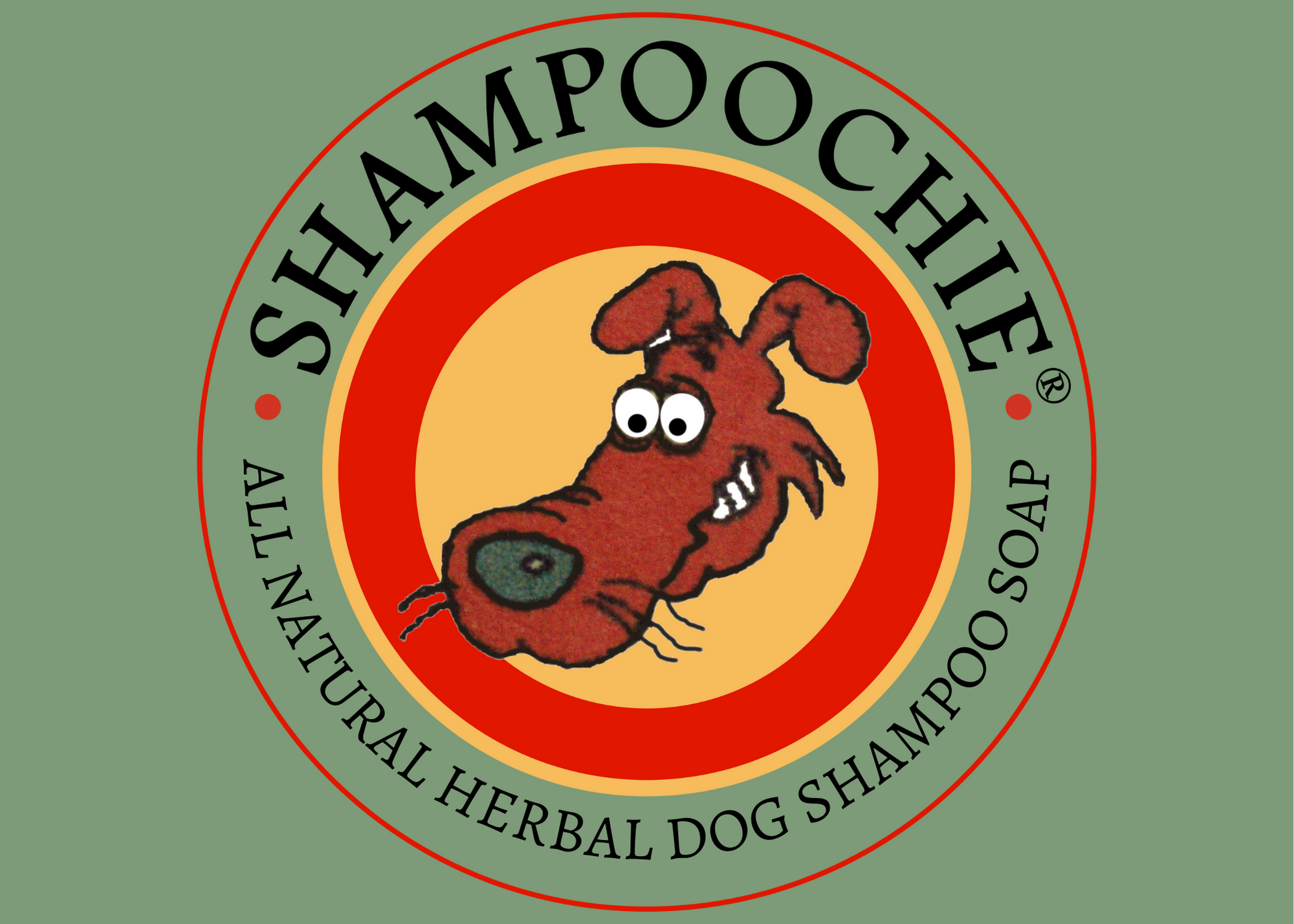 Shampoochie® – Shampoochie®